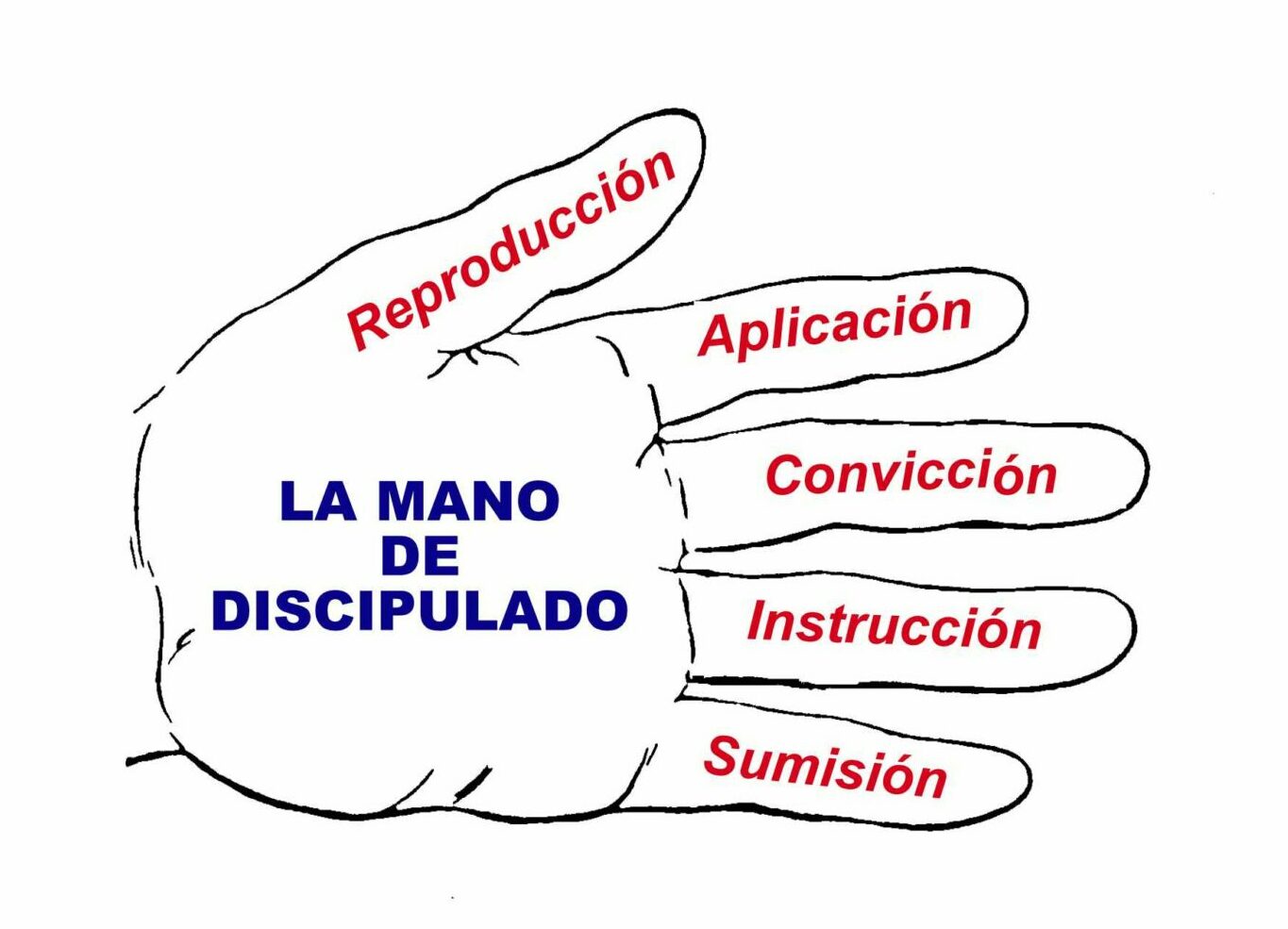La Mano – Discipulado